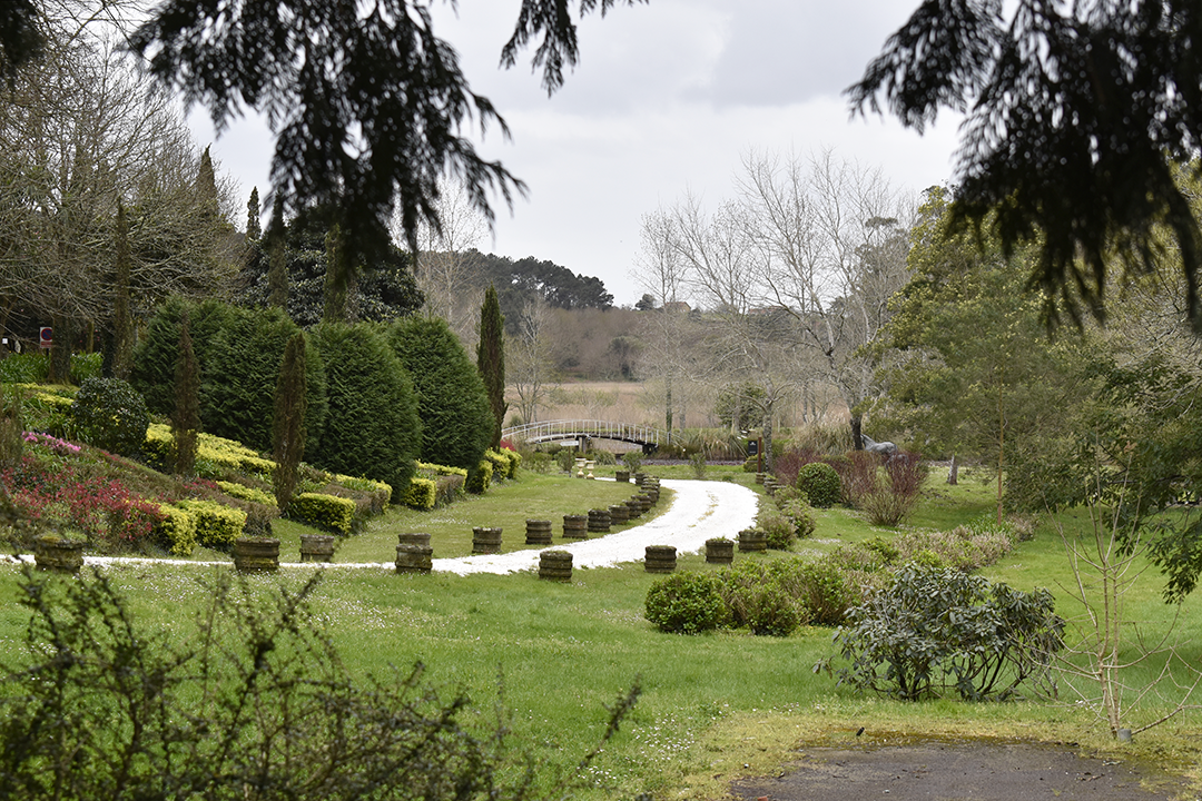 Ruta del Río Tambre - Viajando el Mapa