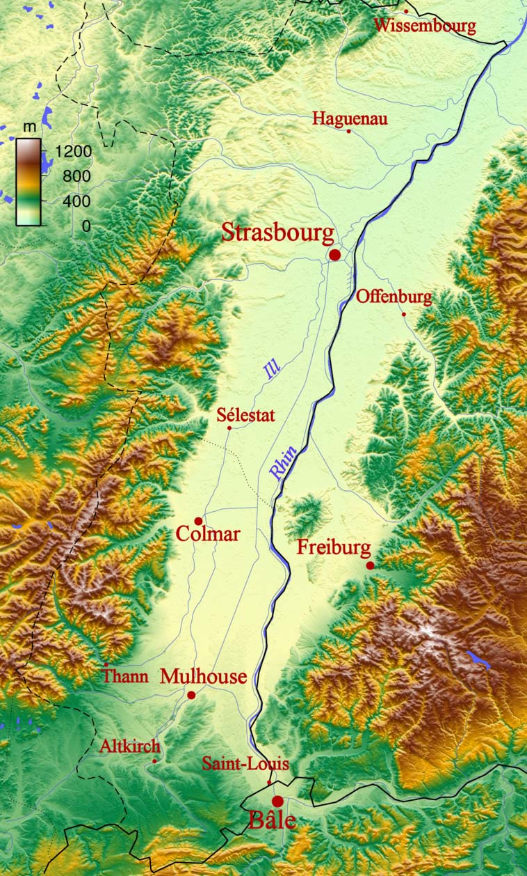 Conocer los viñedos de Alsacia y visitar una bodega - Viajando el Mapa